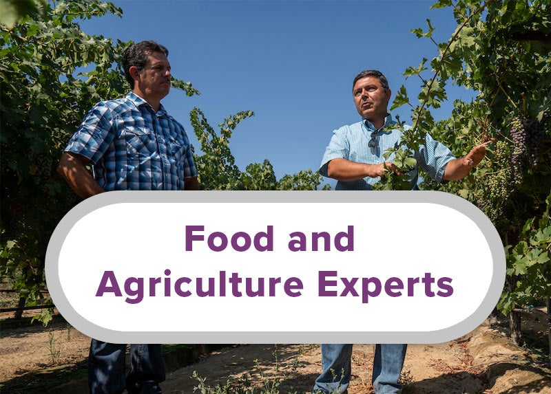 Feeding a Growing Population