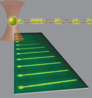 Human DNA Repair Process Recorded in Action | UC Davis