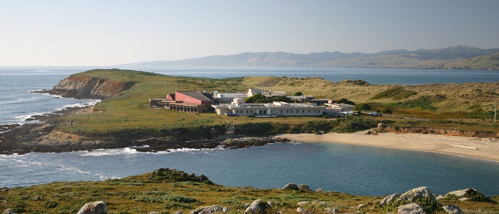 UPDATED: Bodega Lab Remains Closed | UC Davis