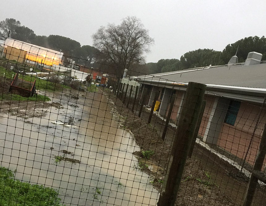 Crews Help Campus Weather the Storms | UC Davis