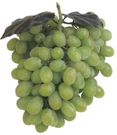 New Viticulture Website Offers Online Grape Information | UC Davis