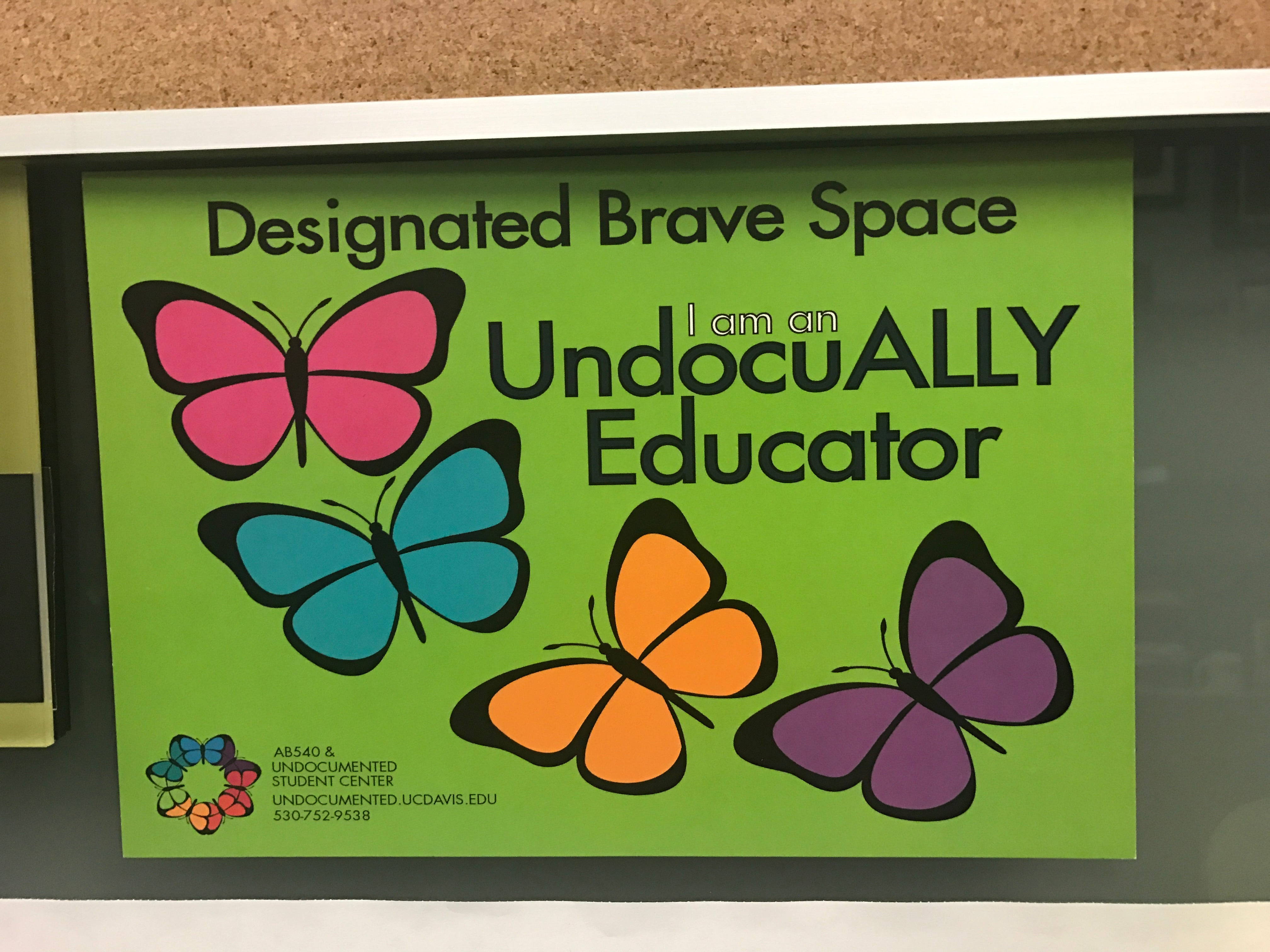 UndocuAlly Workshop Trains Hundreds for Support Role | UC Davis