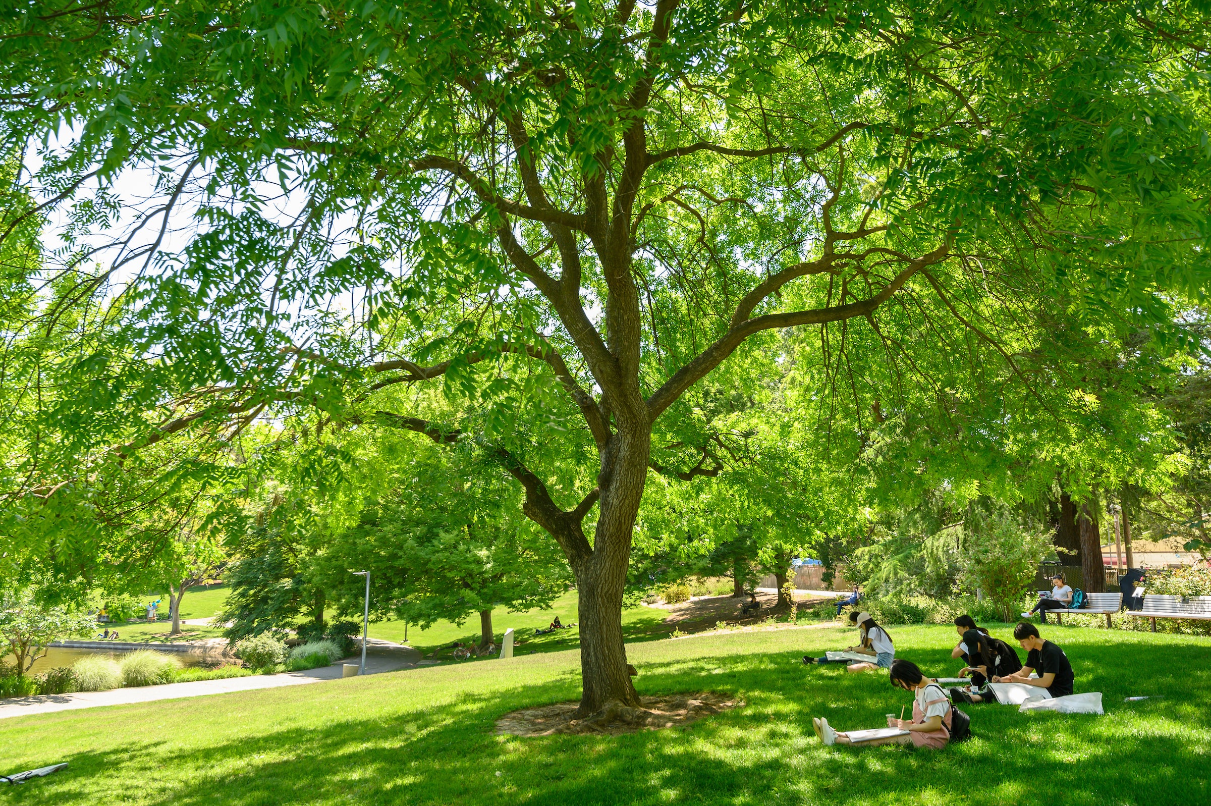application-review-criteria-uc-davis