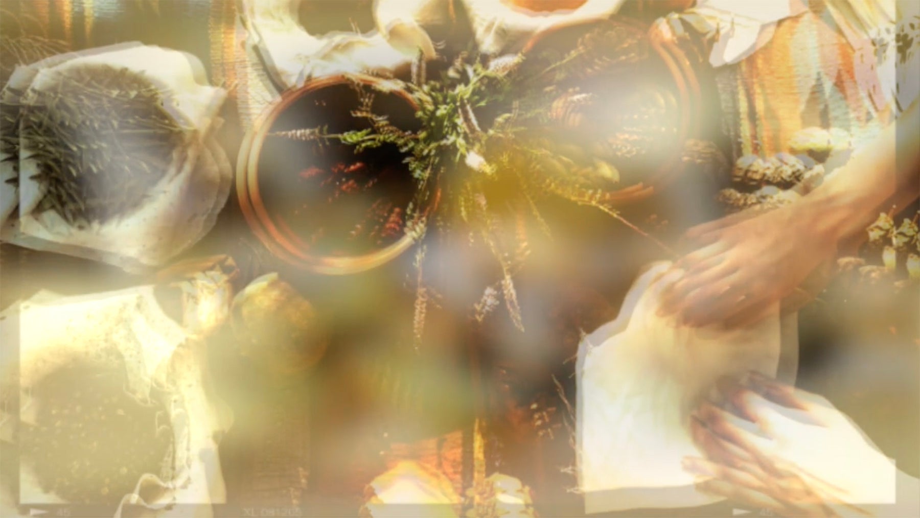 Graduate Exhibition Showcases Intersection of Health, Technology, Art ...