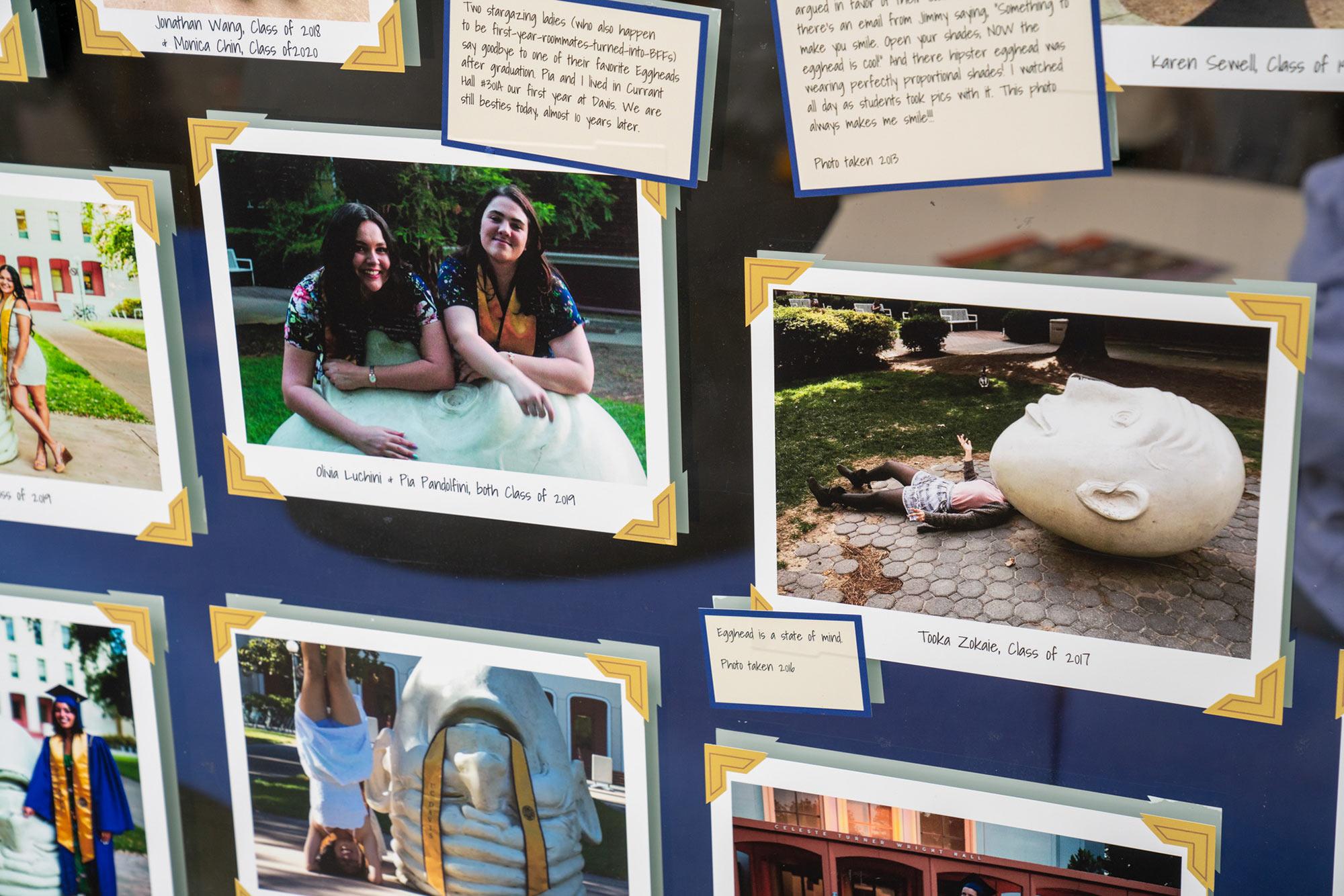 UC Davis - Egghead Photo Gallery