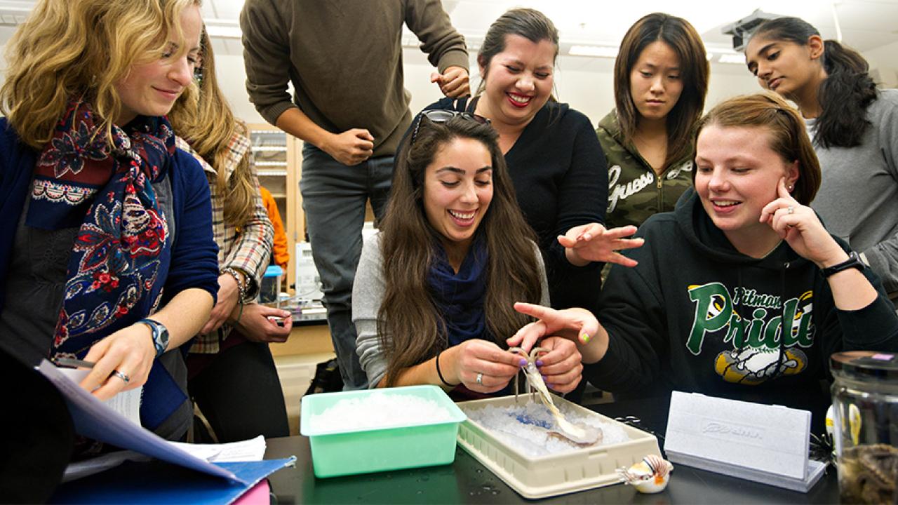 Cognitive Science Majors Study Why Things Work the Way They Do | UC Davis