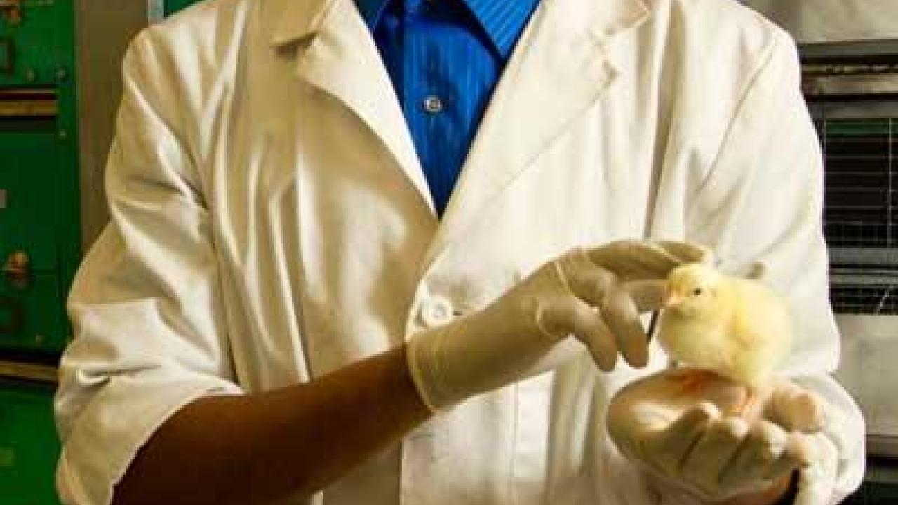 Animal Science Graduate Prepares to Be a Leader in One Health | UC Davis