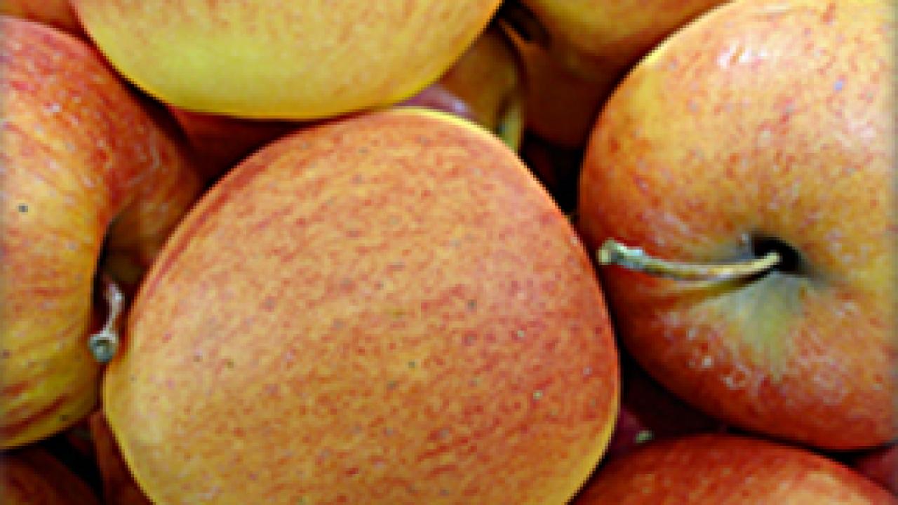 An apple a day? Pretty good advice | UC Davis