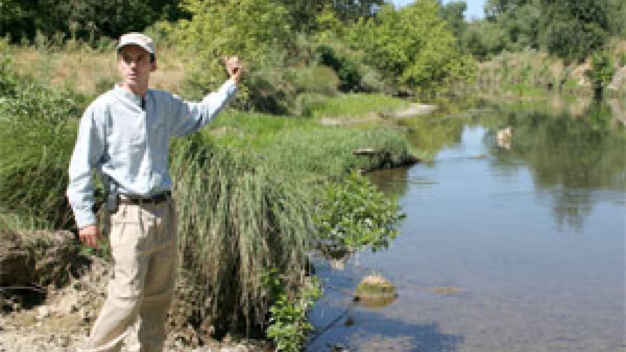 NATURAL STATE ... | UC Davis