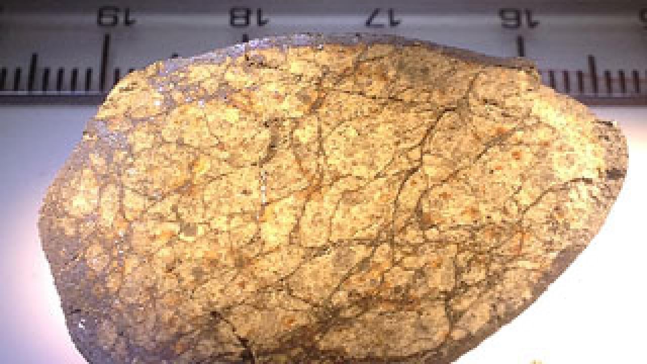 First study of Russian meteorite | UC Davis