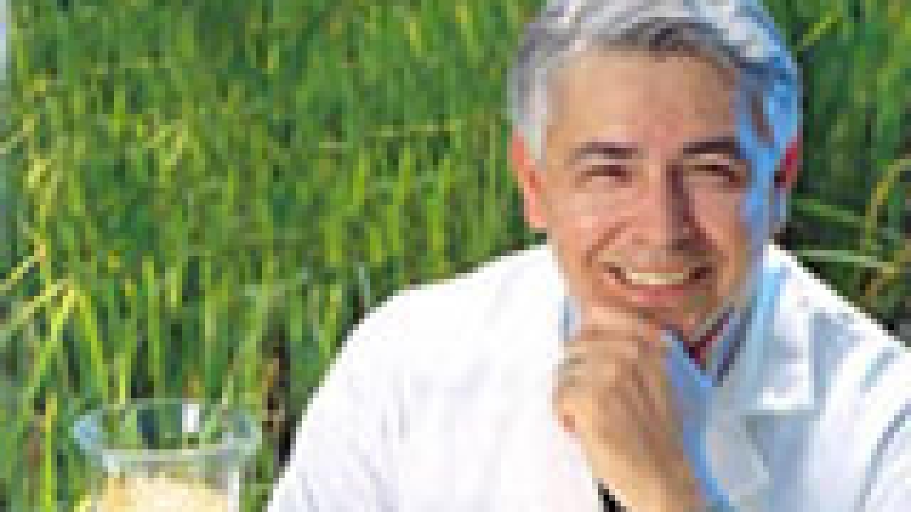 FOCUS ON SERVICE — Ray Rodriguez: Helping to make sure that ‘peace ...