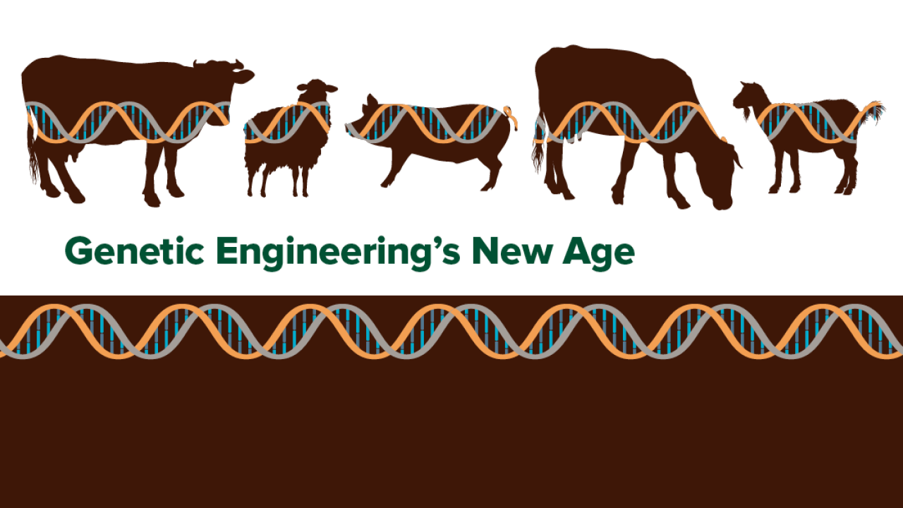 Genetic Engineering’s New Age | UC Davis