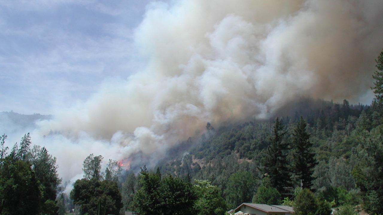 Wildfire Solutions in the WUI | UC Davis