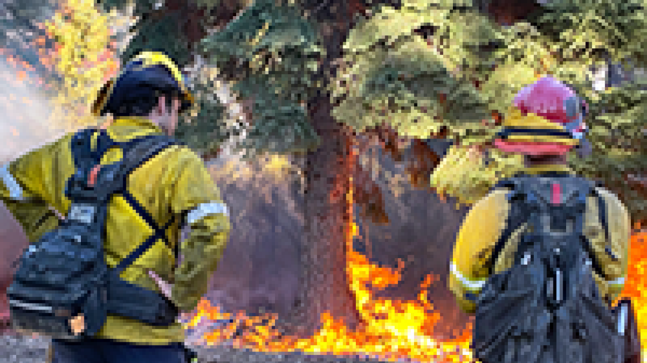 VIDEO ADDED: ‘UC Davis LIVE’ on Fighting California Wildfires | UC Davis