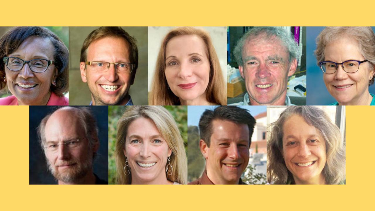 9 Elected as AAAS Fellows | UC Davis