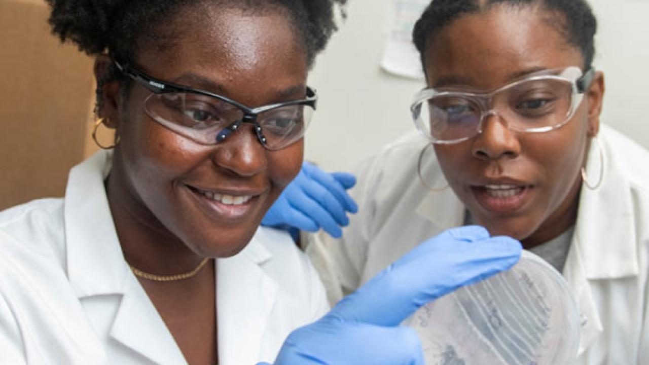 College of Biological Sciences