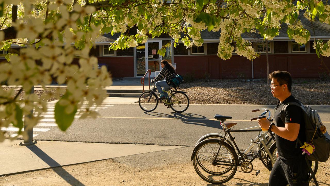 Selective Major Requirements | UC Davis