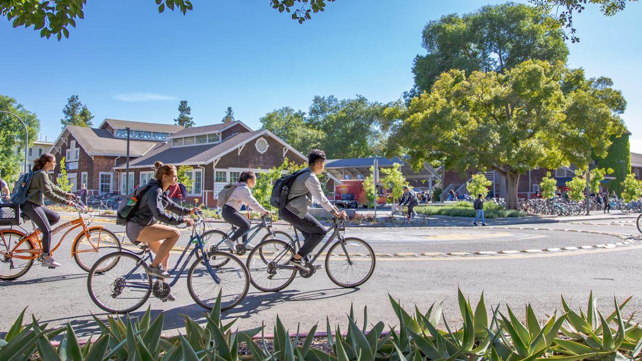 Transfer Application Tips | UC Davis